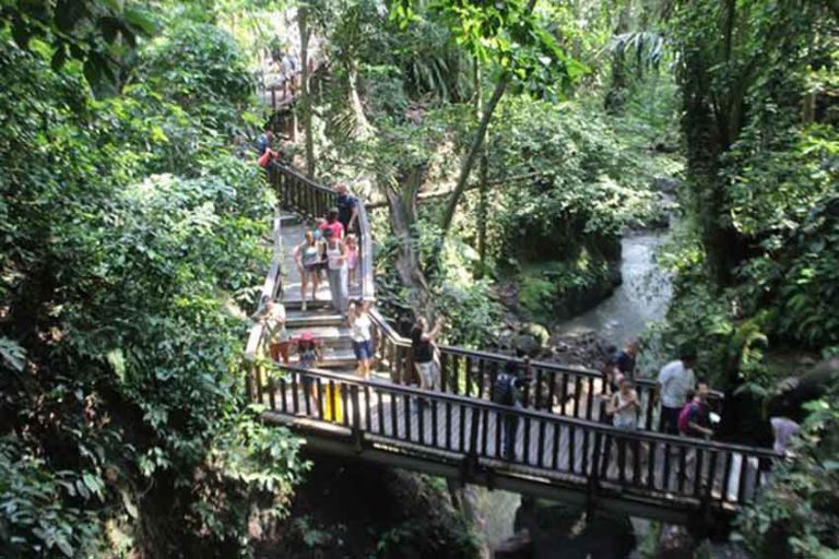 Hutan Monyet Ubud Bali - Hal yang perlu diketahui sebelum berkunjung