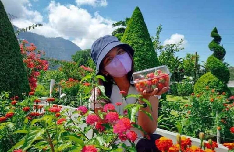 Tempat Wisata Instagramable di Bedugul - Paket Wisata Murah di Bali