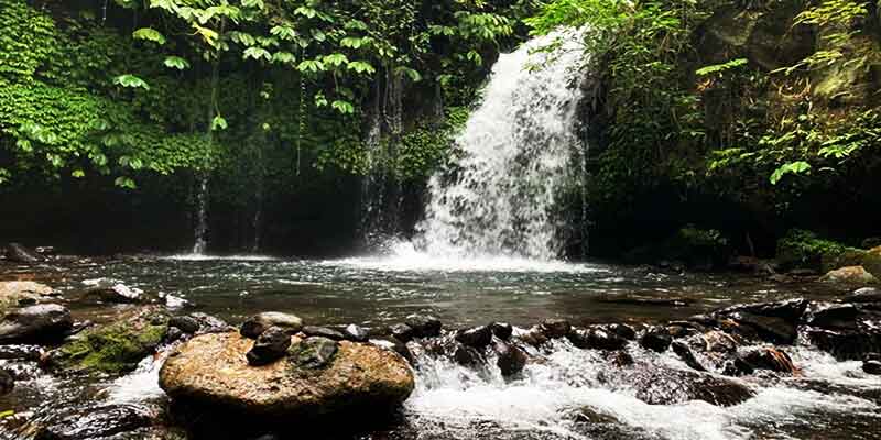 Air Terjun Yeh Hoo Jatiluwih, Daya Tarik dan Lokasi