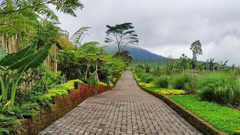 Dusun Bedugul Asri ( DBA) Bali