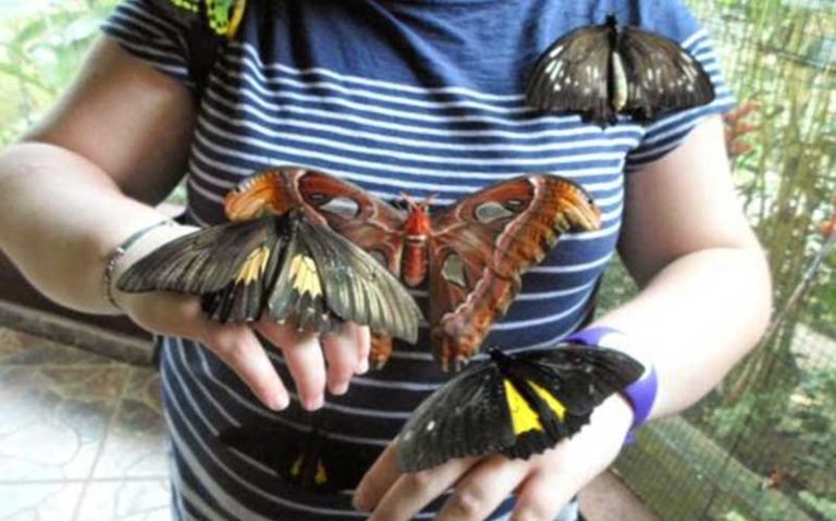 Itinerary Liburan Ke Bali Dengan Anak - Paket Tour Bali dan Aktivitas ...